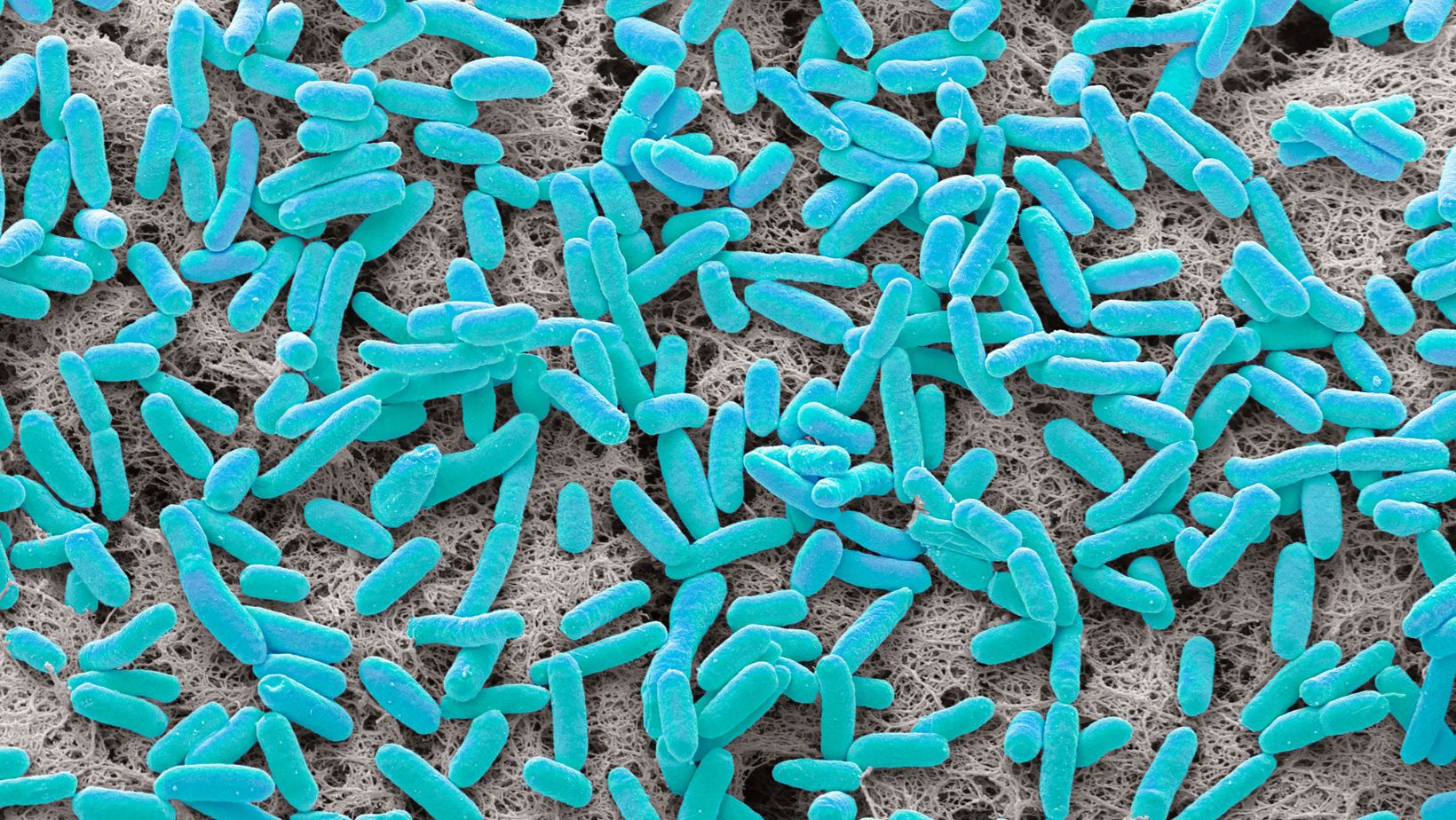 Acute Gastroenteritis Symptoms Explained